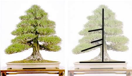 Artistic Principles of Bonsai Design - The Language of Artistry